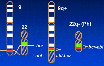 Science Types: The Philadelphia Chromosome by Jessica Wapner: a story ...