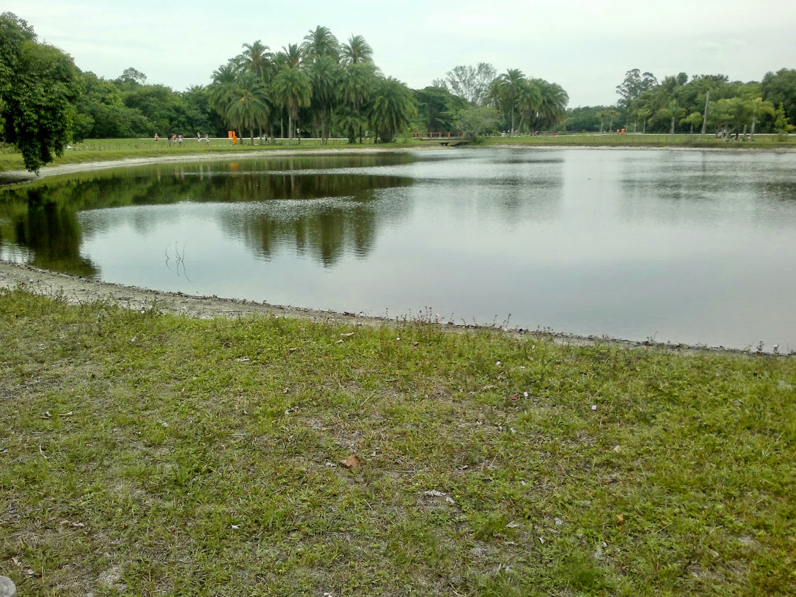 Trilhas e Pedais : Bosque da Barra + Quitite