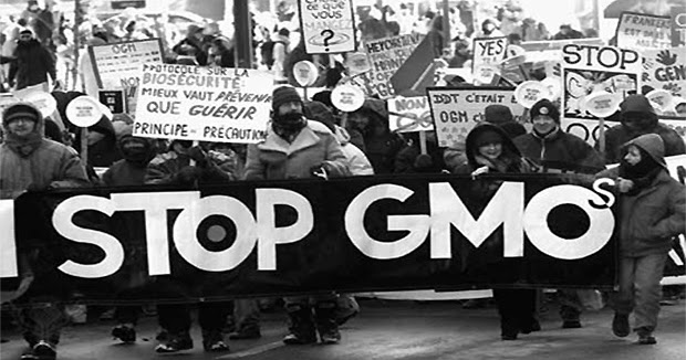 Yanu Endar Prasetyo: Reading Summaries (9): Anti-Genetic Engineering ...