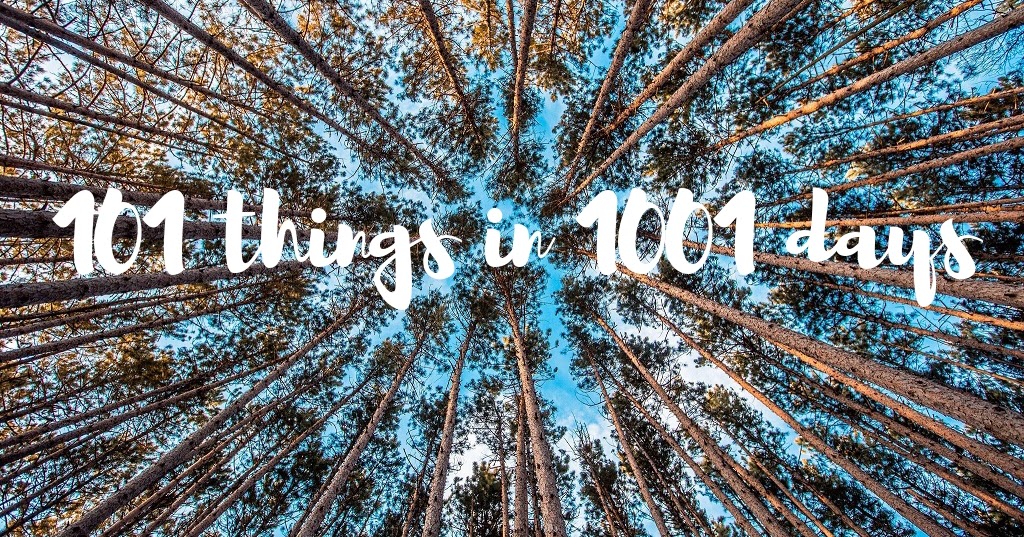 The Adventures of Team Wil-Sun: 101 in 1001