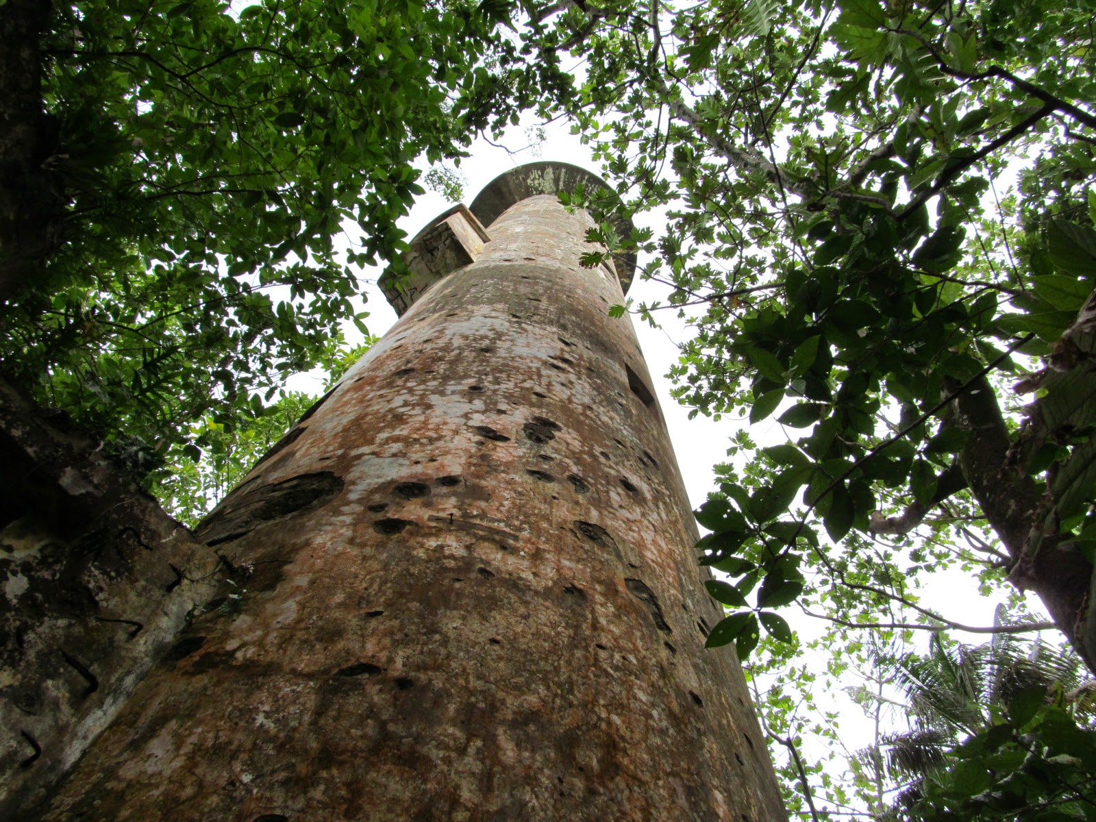 SAILING HELENA: Puluwat atoll, Micronesia