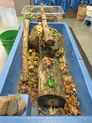 SAND AND WATER TABLES: SWAMP III