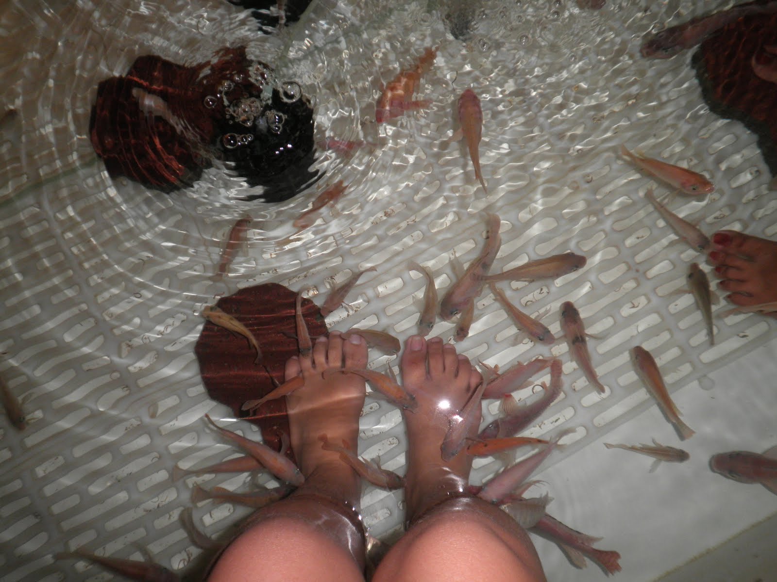 Tibiao Fish Spa: A Tickling Feet Experience ~ She Wanders24