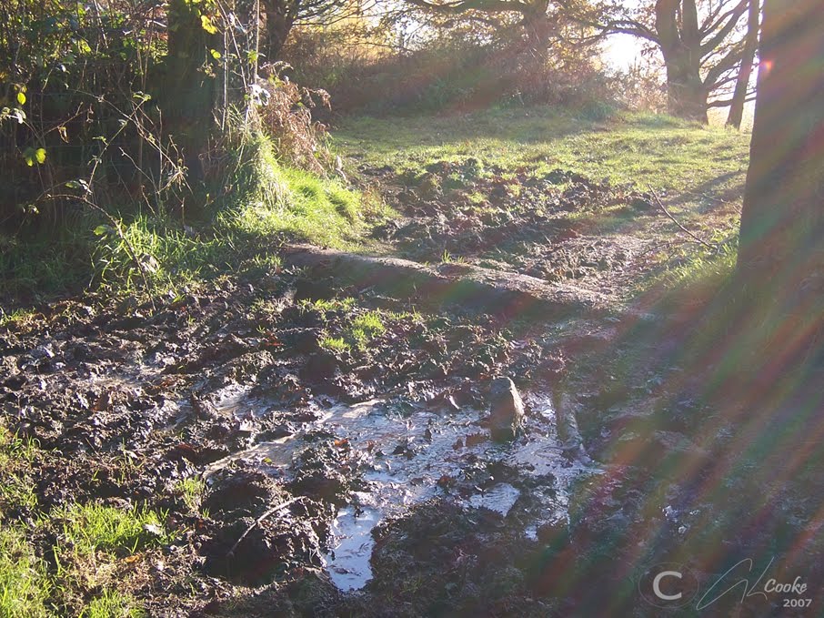 Barefoot Barbara: In the middle of a very muddy puddle.......