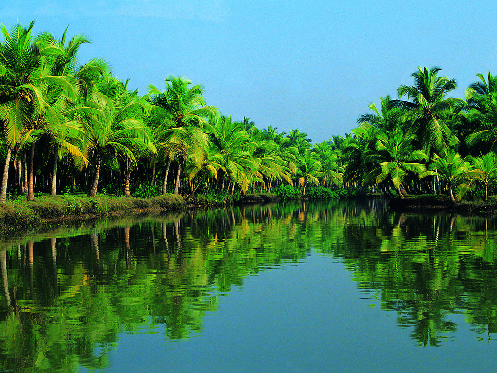 amazing cochin / kochi : Backwaters of Kochi