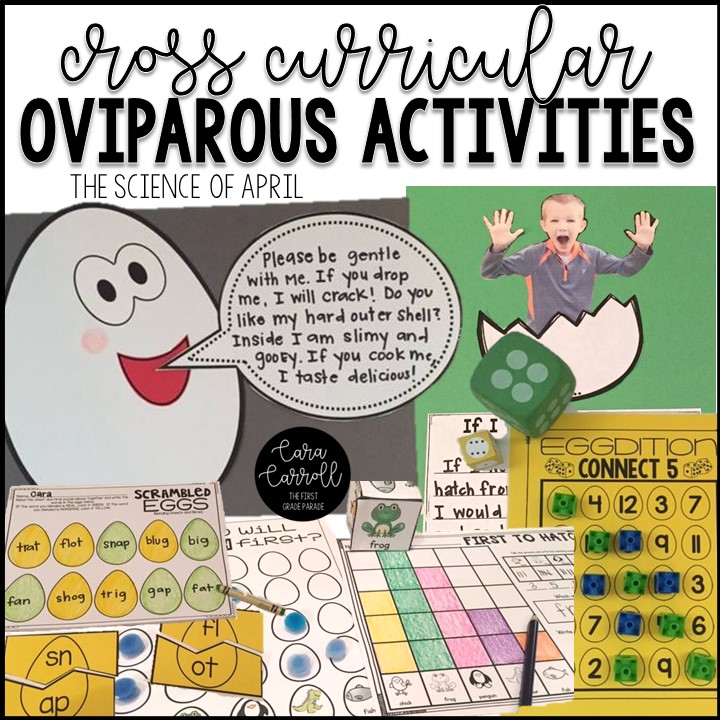 Learning About Oviparous Animals | The First Grade Parade | Bloglovin’