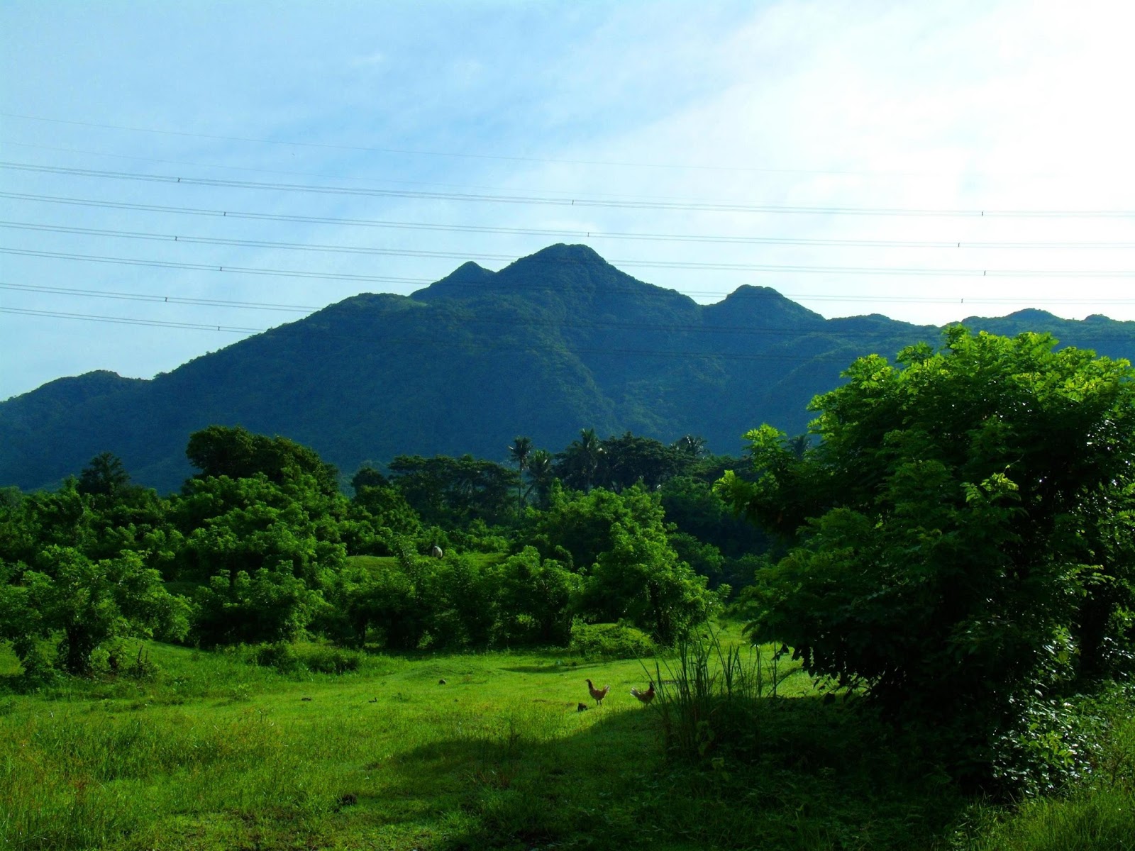 bundok makiling - philippin news collections