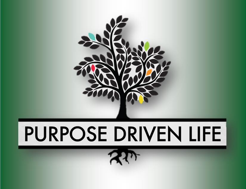 amdan.siallagan: Purpose Driven Life