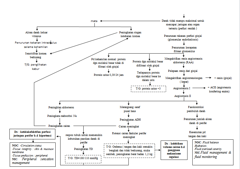 Seputar Dunia Keperawatan: PATHWAY PREEKLAMSIA & HIPERTENSI