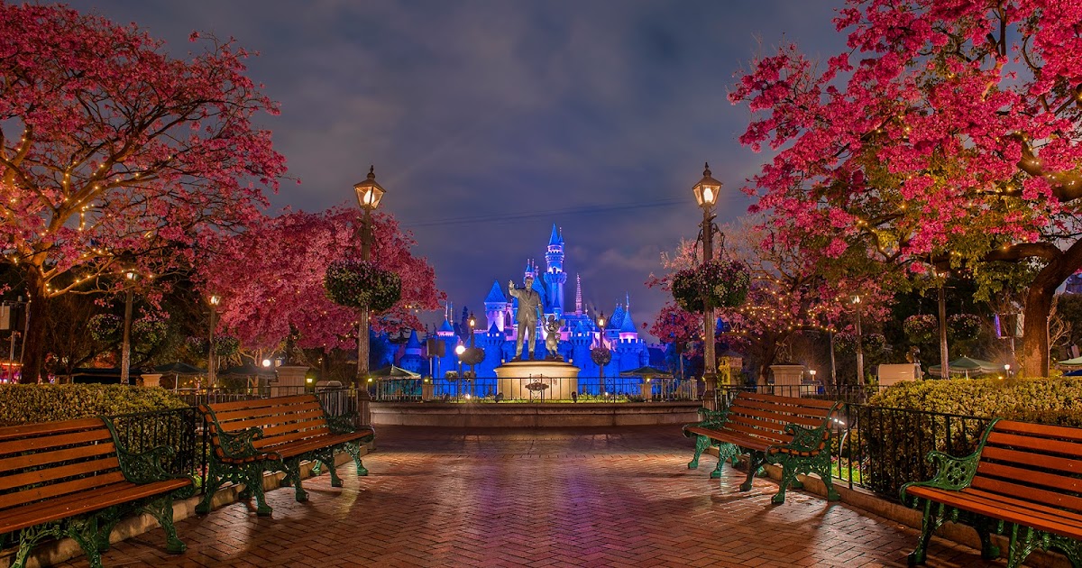 Disney Photoblography