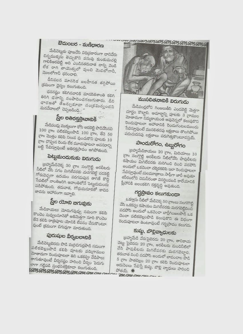 AYURVEDAM - ఆయుర్వేదం: MEDI CHETTU / UDUMBARA / THE GULAR FIG ...