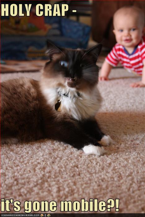 Slavenka & Obi: HOLY CRAP