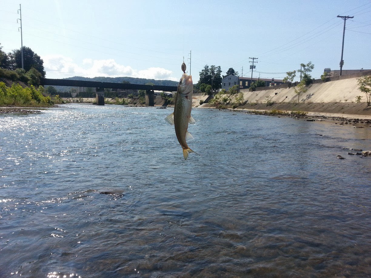 Fishing in western Pa