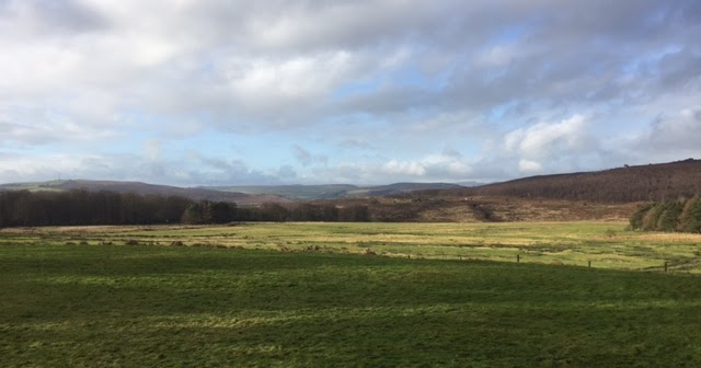 National Trust Scones: Longshaw, Burbage and the Eastern Moors