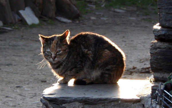 uno y los demás: mayo 2010