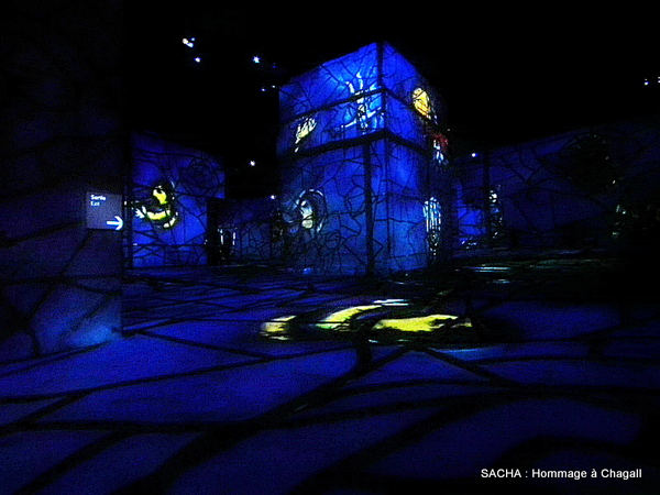 Un jour....Une photo !: Songe d'une nuit d'été " Hommage à chagall ...