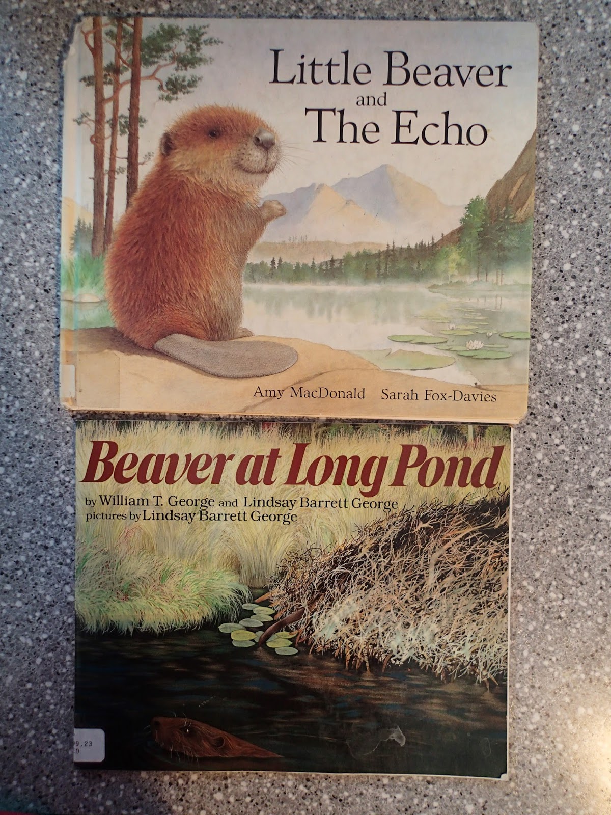 1 Day at Home: Beavers