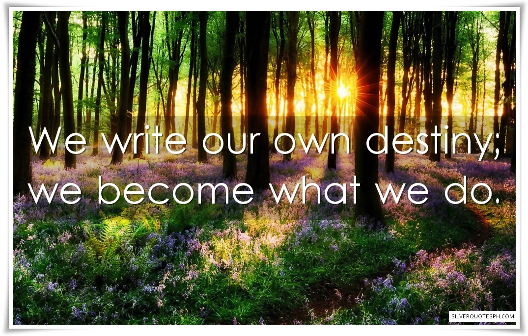 We Write Our Own Destiny - SILVER QUOTES