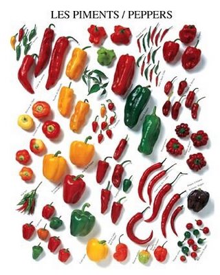 Blog 75: Recettes Condiments-Les piments doux et forts
