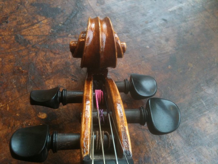 The Violin Shop: Why Scrolls?