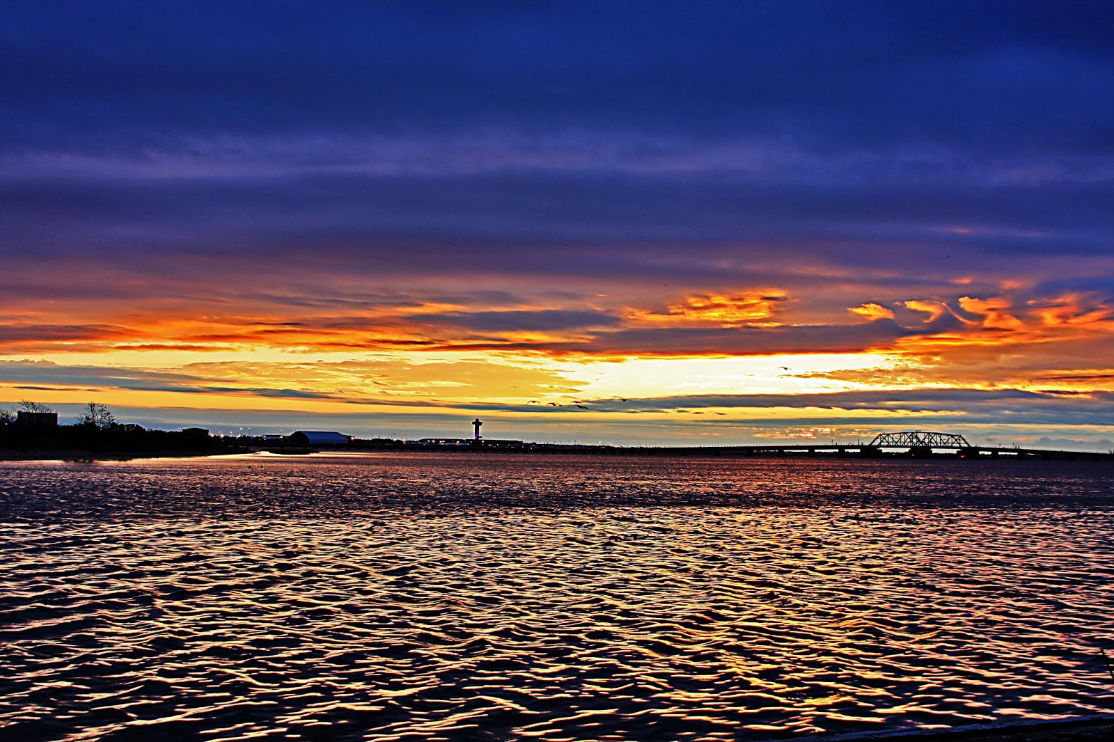 Astrophotography Blog: Solar Eclipse New York - 11/3/2013