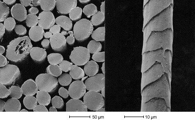 FIBRAS SINTETICAS Y ESPECIALES: SPANDEX