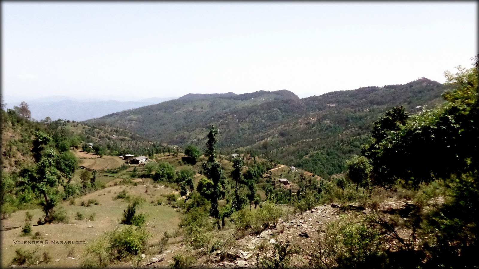 Uttarakhand Tourism: Dwarahat Dunagiri & Pandavkholi Photos