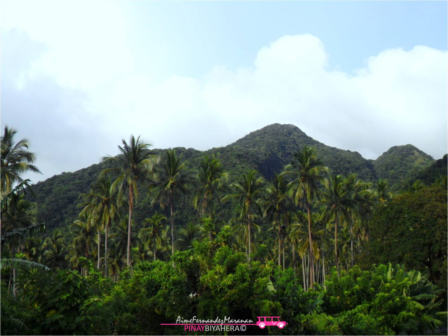 Pinay Biyahera: HikingBlahs#5: LAGUNA │ MT. MAKILING: Part 2, Very Long ...