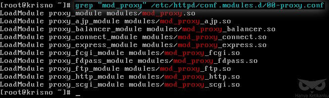 Konfigurasi Mod Proxy Backend And Forwarded Path - Hanya Ketikanku