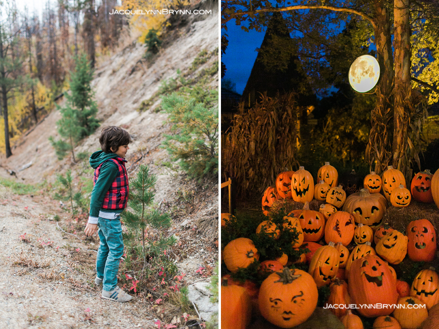 The Adventures of Sawyer and Boone | Fall in Chelan & Boo at the Zoo ...