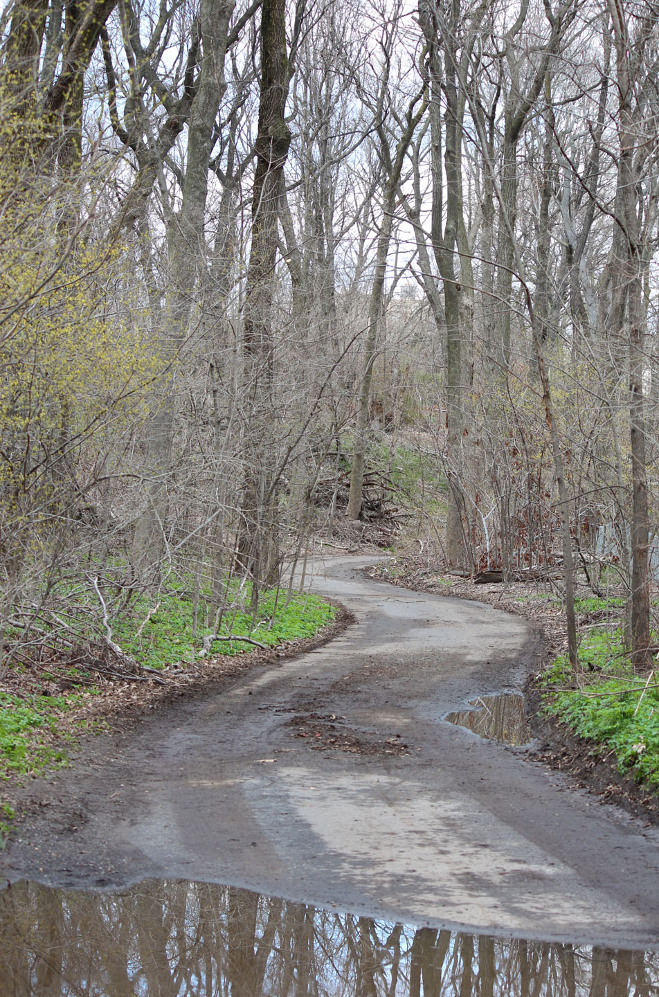 66 Square Feet (Plus): Spring in Prospect Park