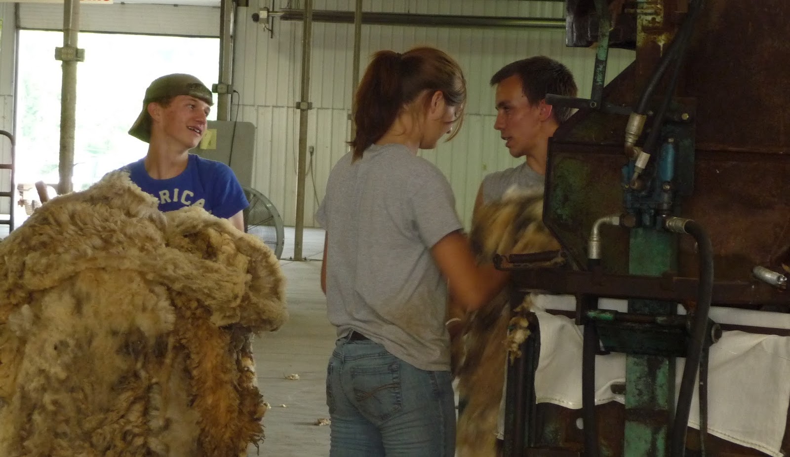 Wild Rose Farm: Washington County Wool Pool