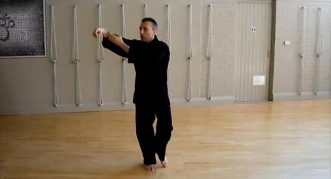 Single whip: Part 1 - defence against that first punch