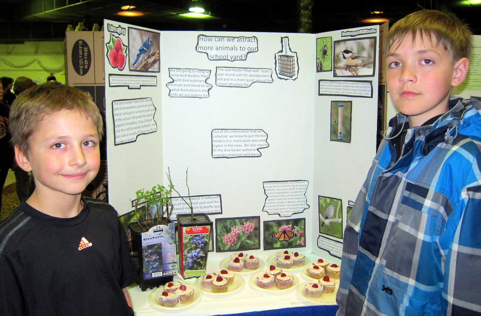 EcoFriendly Sask: "We are Eco Mean but Global Green" Student Action for ...