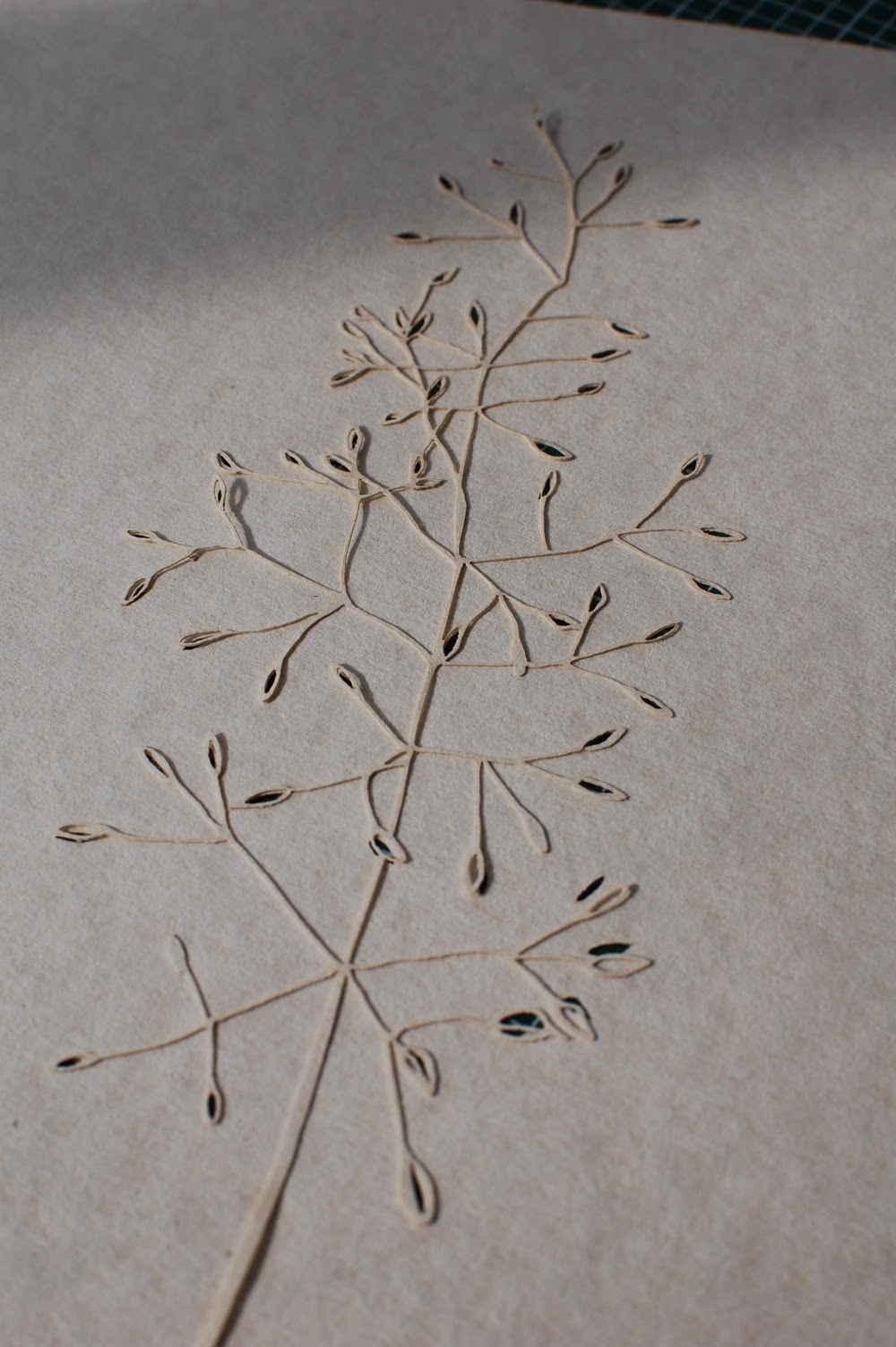 Hannah Nunn: Paper Grasses