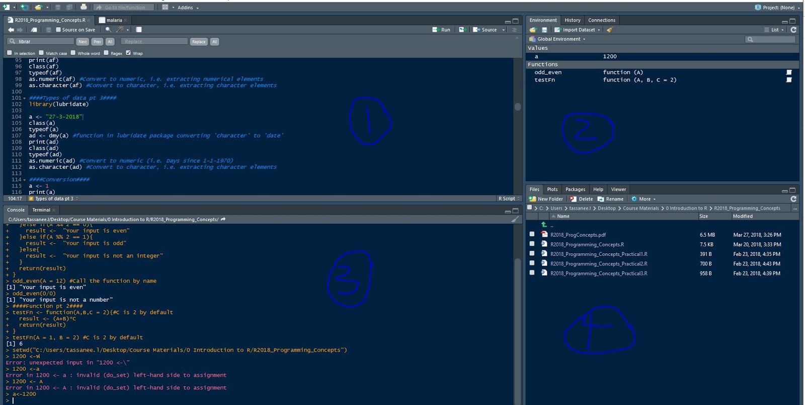R-programming workshop