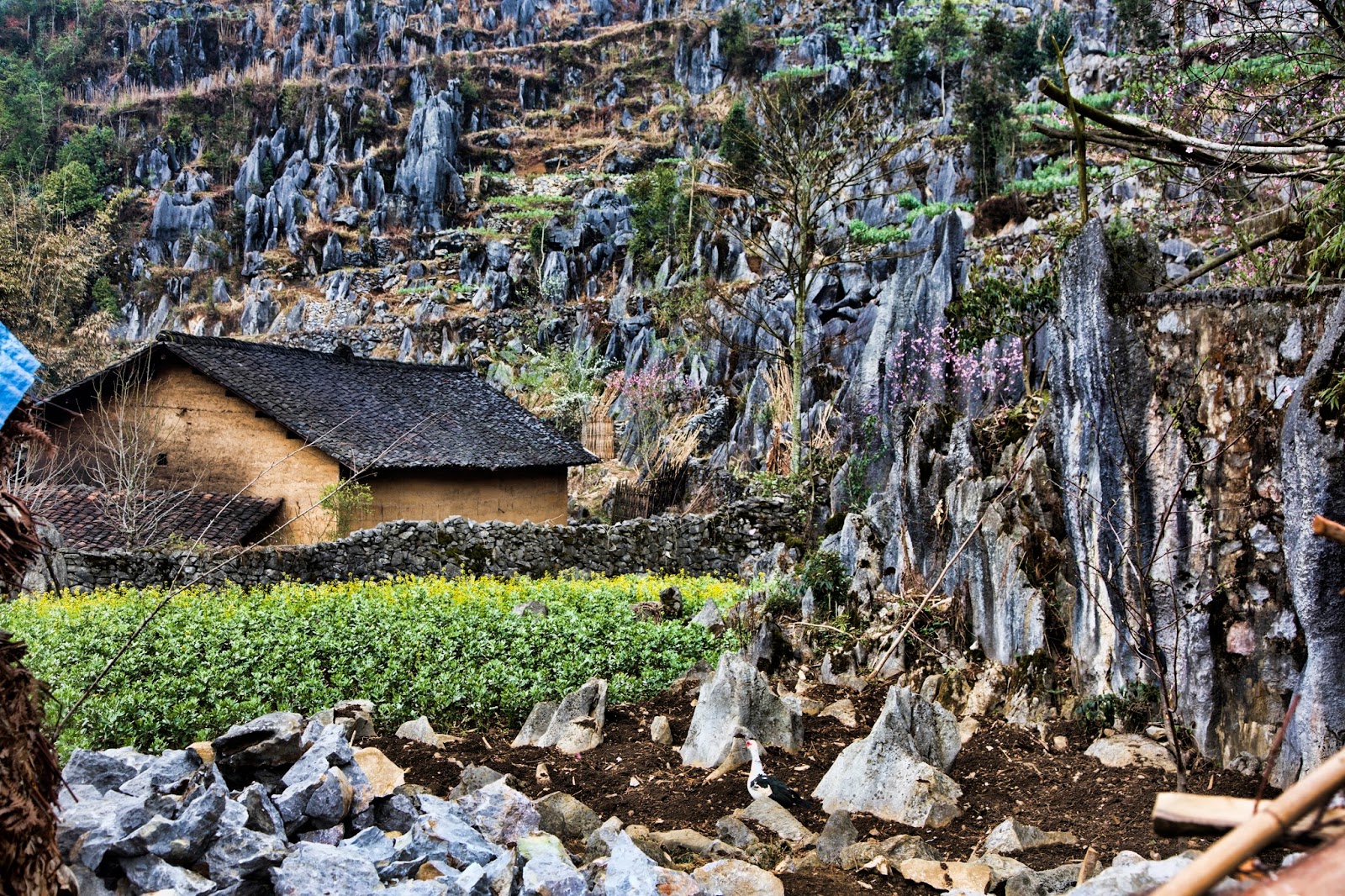 Chuck Kuhn's Vietnam in Photos: Village Life in rural Ha Giang Vietnam