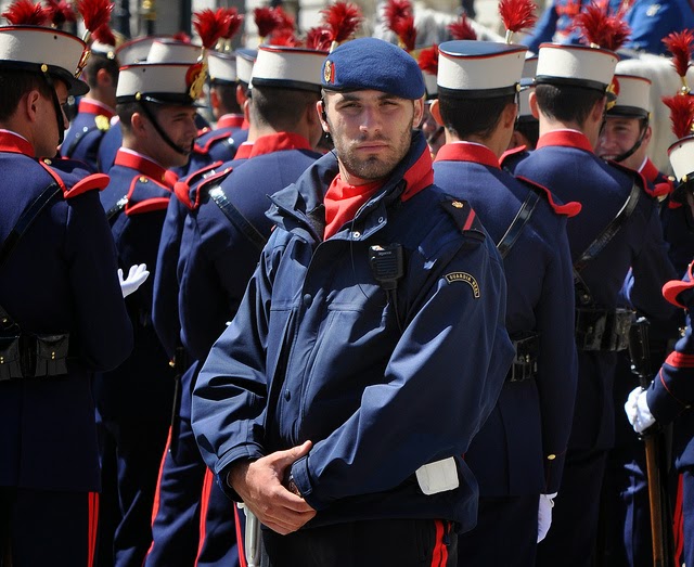 Foro de Cultura de Defensa: POR SER FIELES GUARDIAS DEL REY