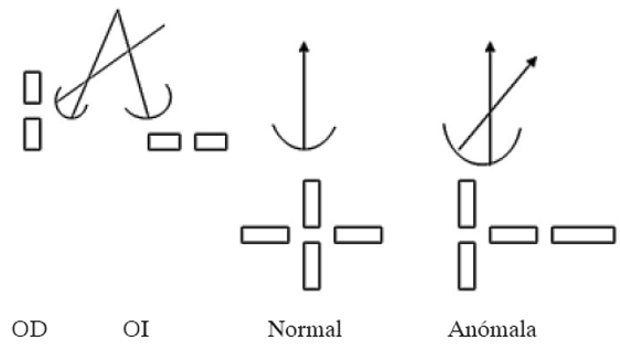 Cátedra N° 11 - Estudio sensoriomotor