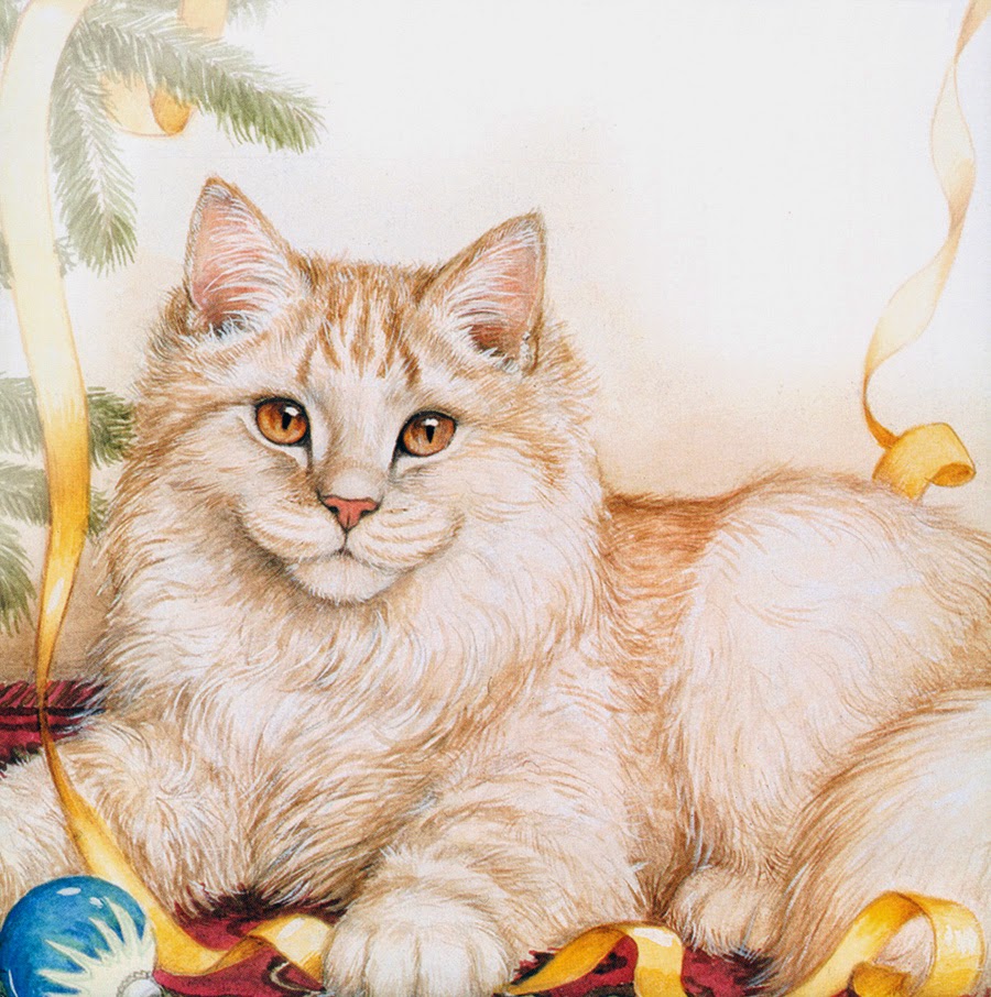 Fine Art : Artworks by Debbie Cook