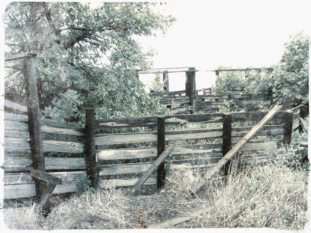 Mario Raúl Soria : Blog Personal: LOS CORRALES NEGROS El paso olvidado