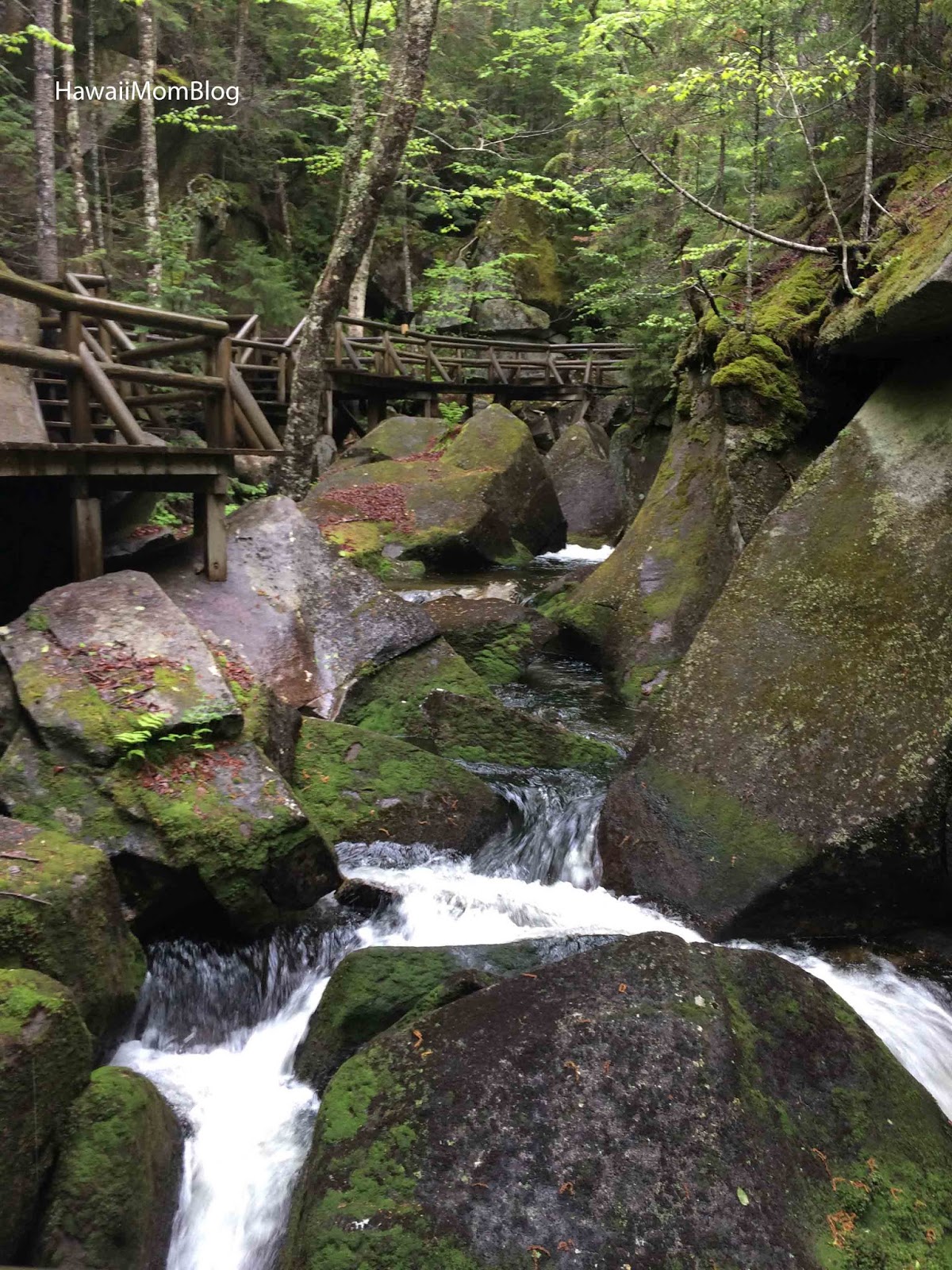 Hawaii Mom Blog: Visit New Hampshire: Lost River Gorge & Boulder Caves