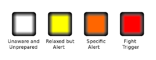 My Safety Guru: The Cooper Color Code