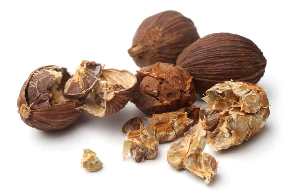 Simplisia Fructus | Farmakognosi Tanaman Obat Tradisional