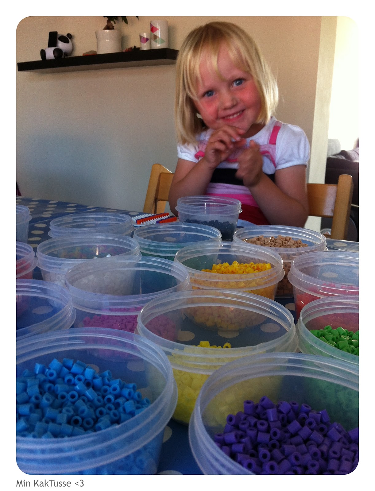 KakTusser: Merle/Perle-dag