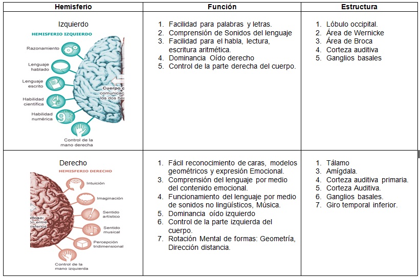 Blog Examen Final Neurociencias: Lateralización, lenguaje y cerebro ...
