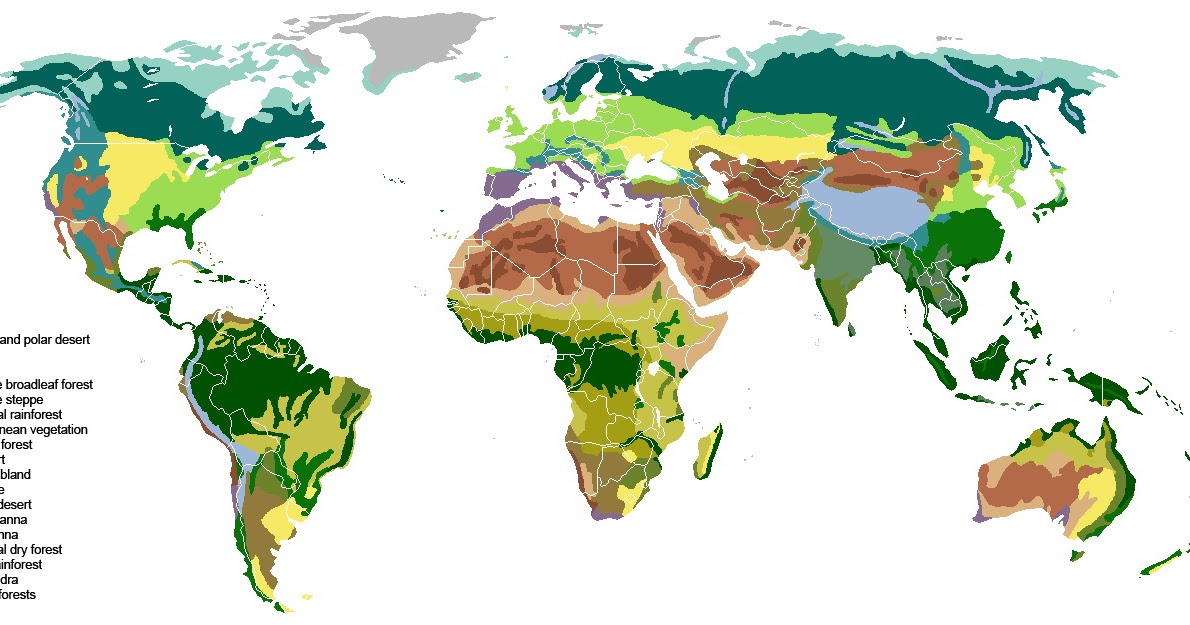 The World's Terrestrial Biomes