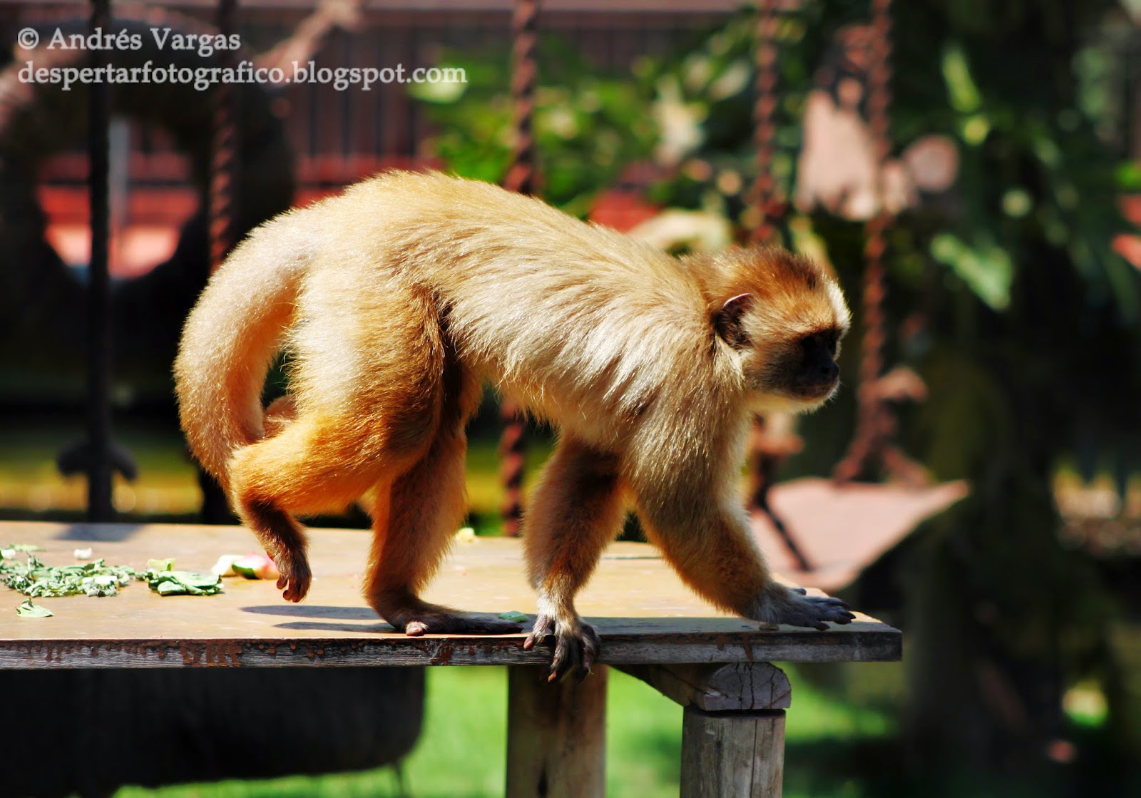 DESPERTAR FOTOGRÁFICO: 2015