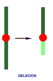 Malformaciones Cromosómicas