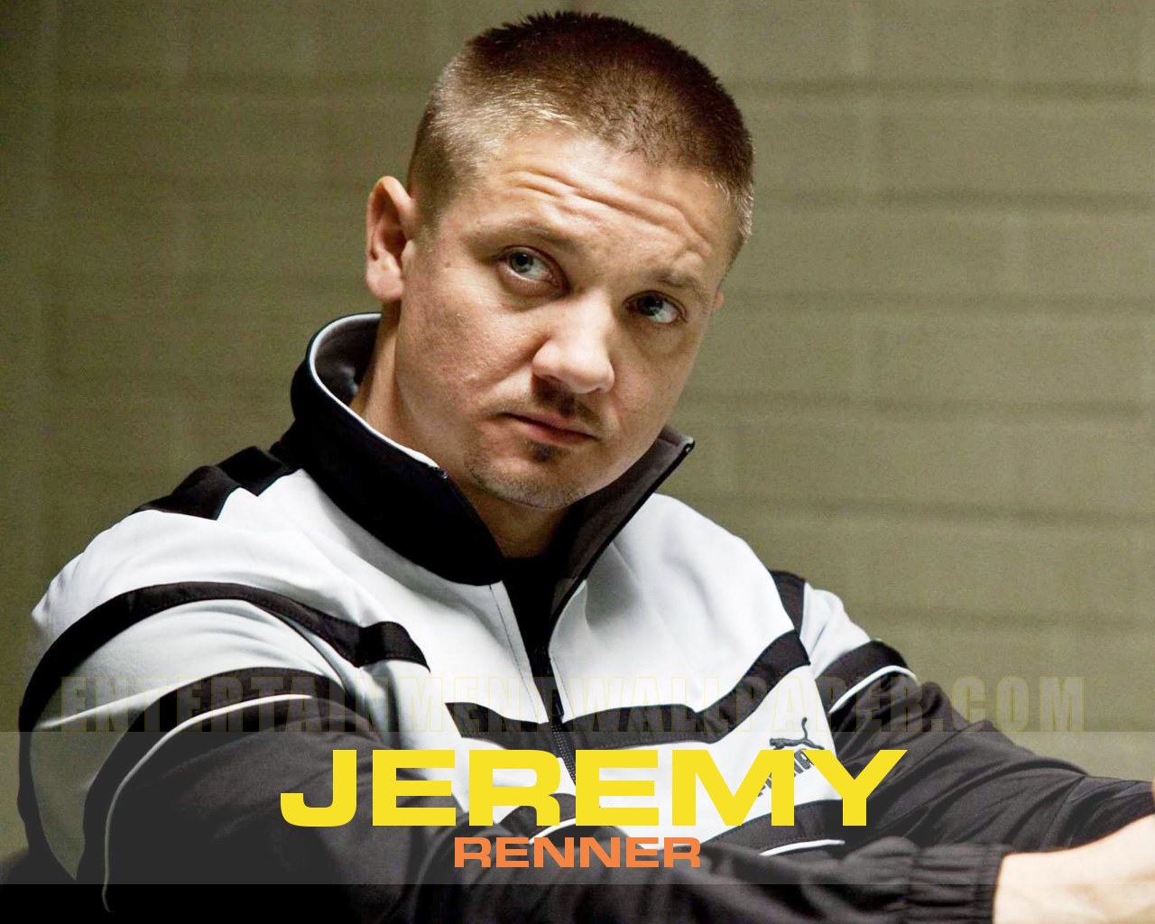 Jeremy Renner American Actor Singer | Jeremy Lee Renner Biography ...